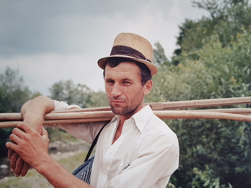 beyond the forest - Clare Richardson