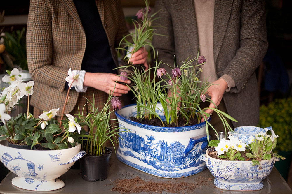 The Land Gardeners - Clare Richardson